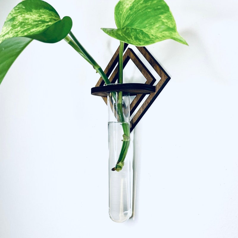 Wall Propagation Station - Etsy