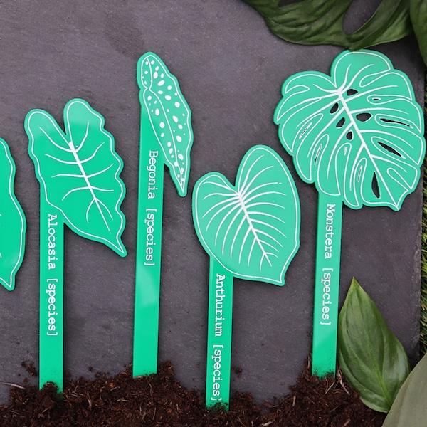 Plant Labels Explained at Luis Silva blog