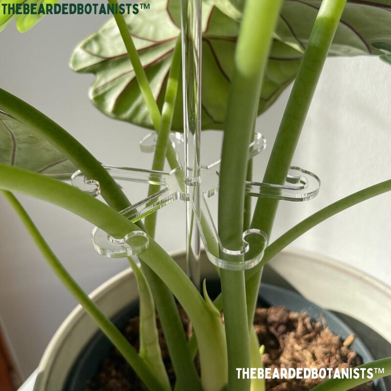 Plant Support - Etsy