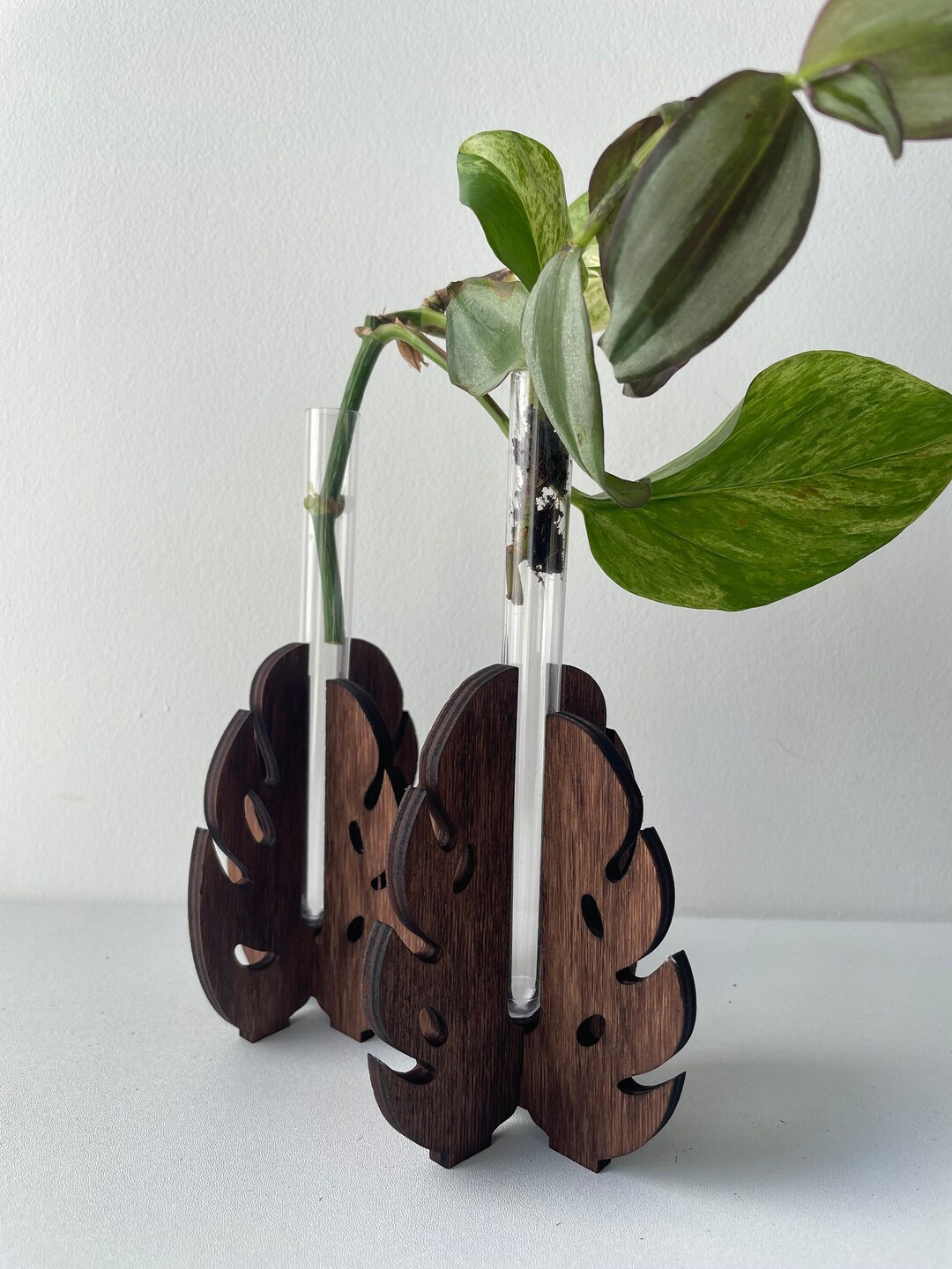 Monstera Propagation Station | Plant Grow Rack for Plant Lovers ...