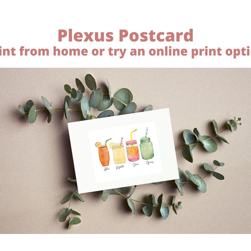 Plexus Swag - Etsy