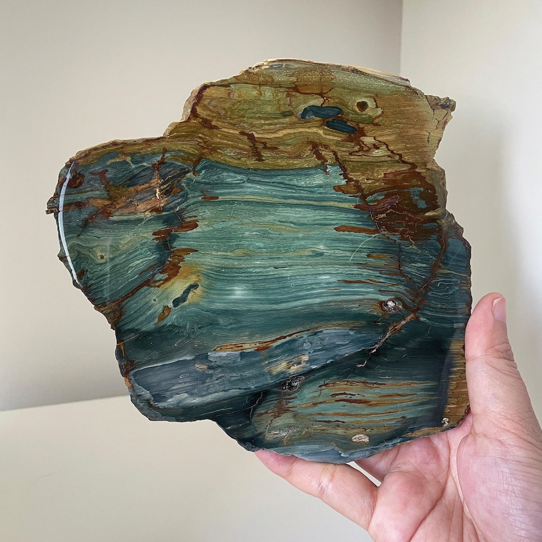 High Grade Polished Gary Green Bogwood Jasper Blue Larsonite Petrified ...