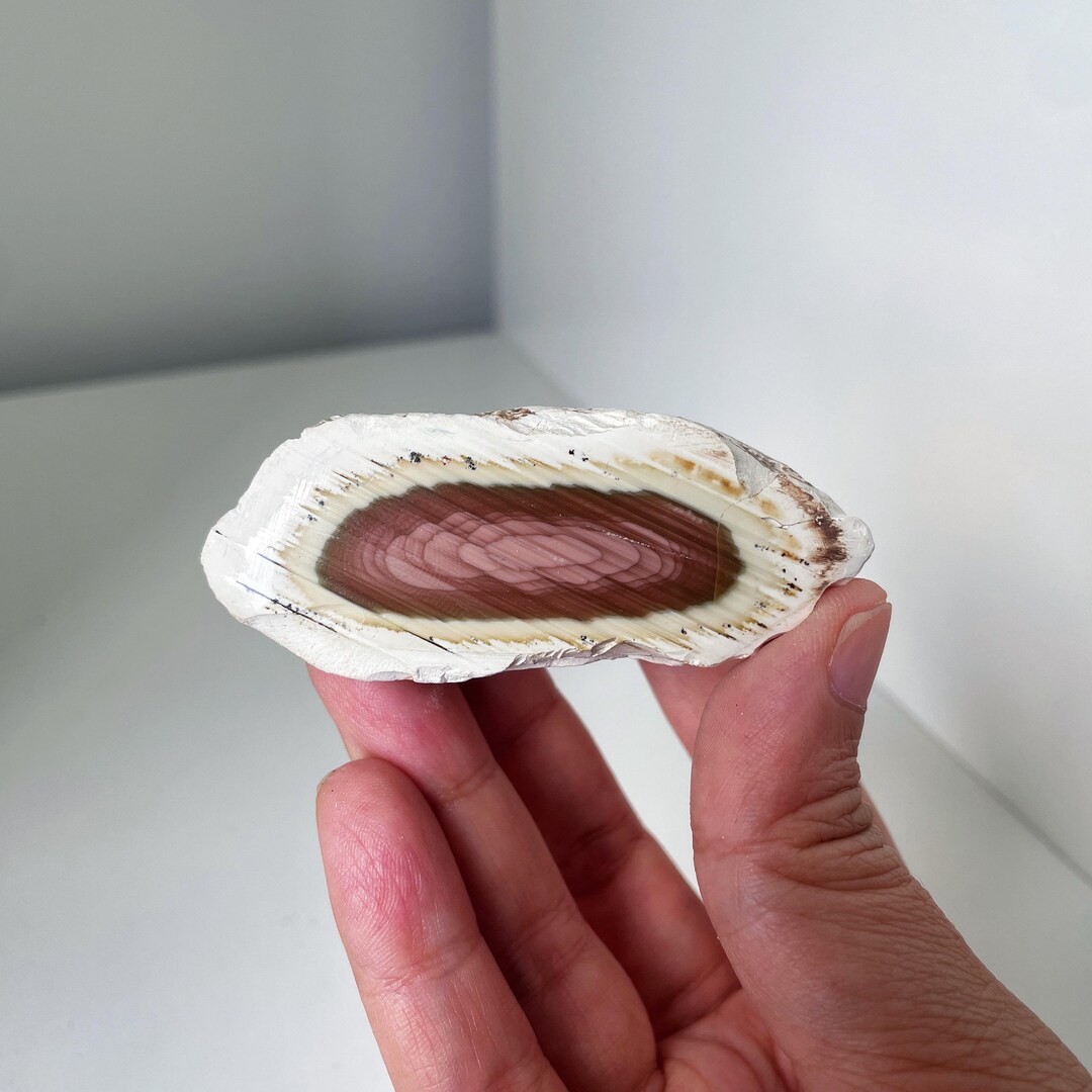 Polished Royal Imperial Jasper Nodule Half Mexico Earth Red Brownorb ...