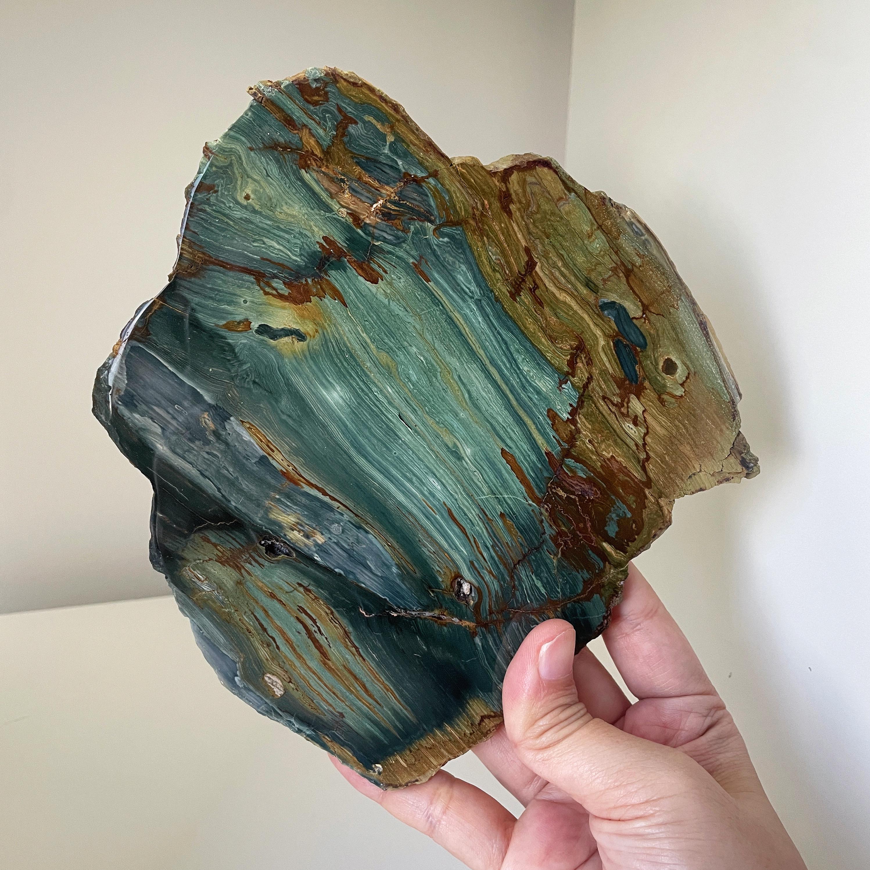 High Grade Polished Gary Green Bogwood Jasper Blue Larsonite Petrified ...