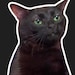 Zoned Out Black Cat Sticker - Etsy