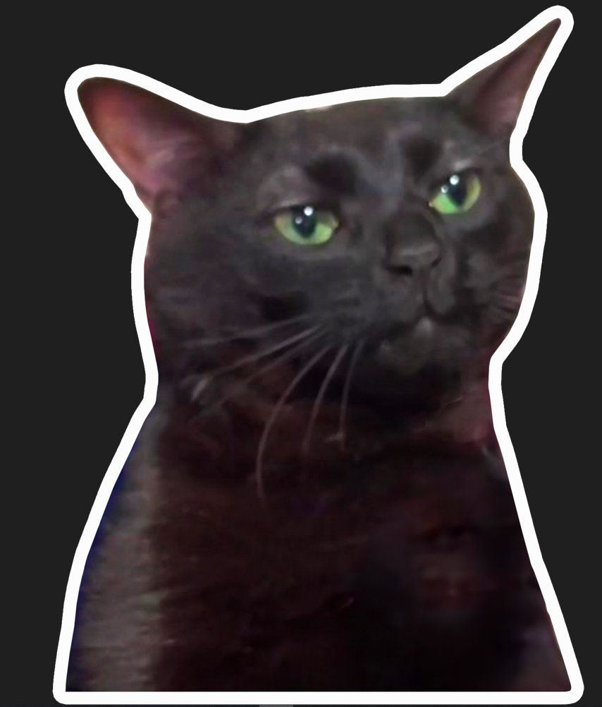 Zoned Out Black Cat Sticker - Etsy