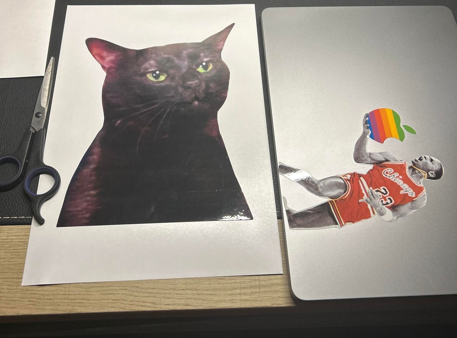 Zoned Out Black Cat Sticker - Etsy