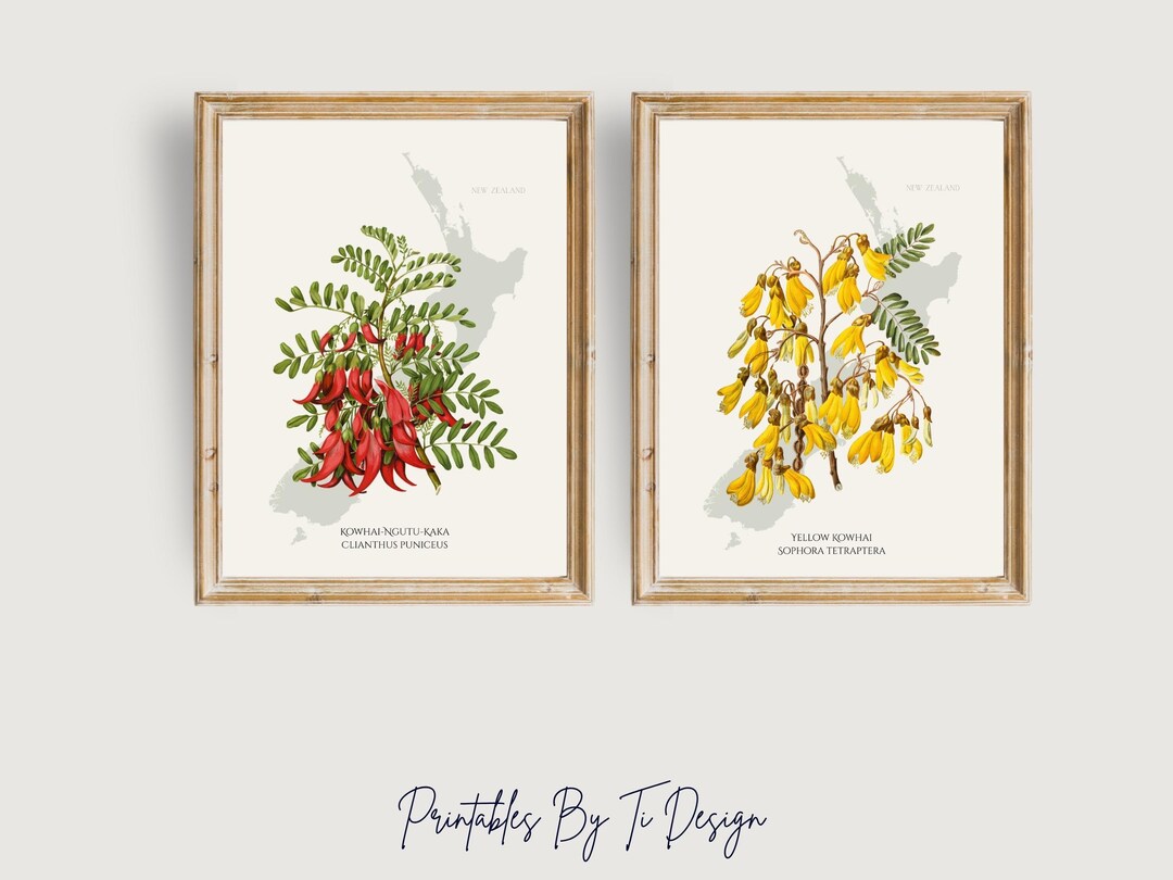 Printable Kowhai Flower Art Set - New Zealand Botanical Prints With Map ...