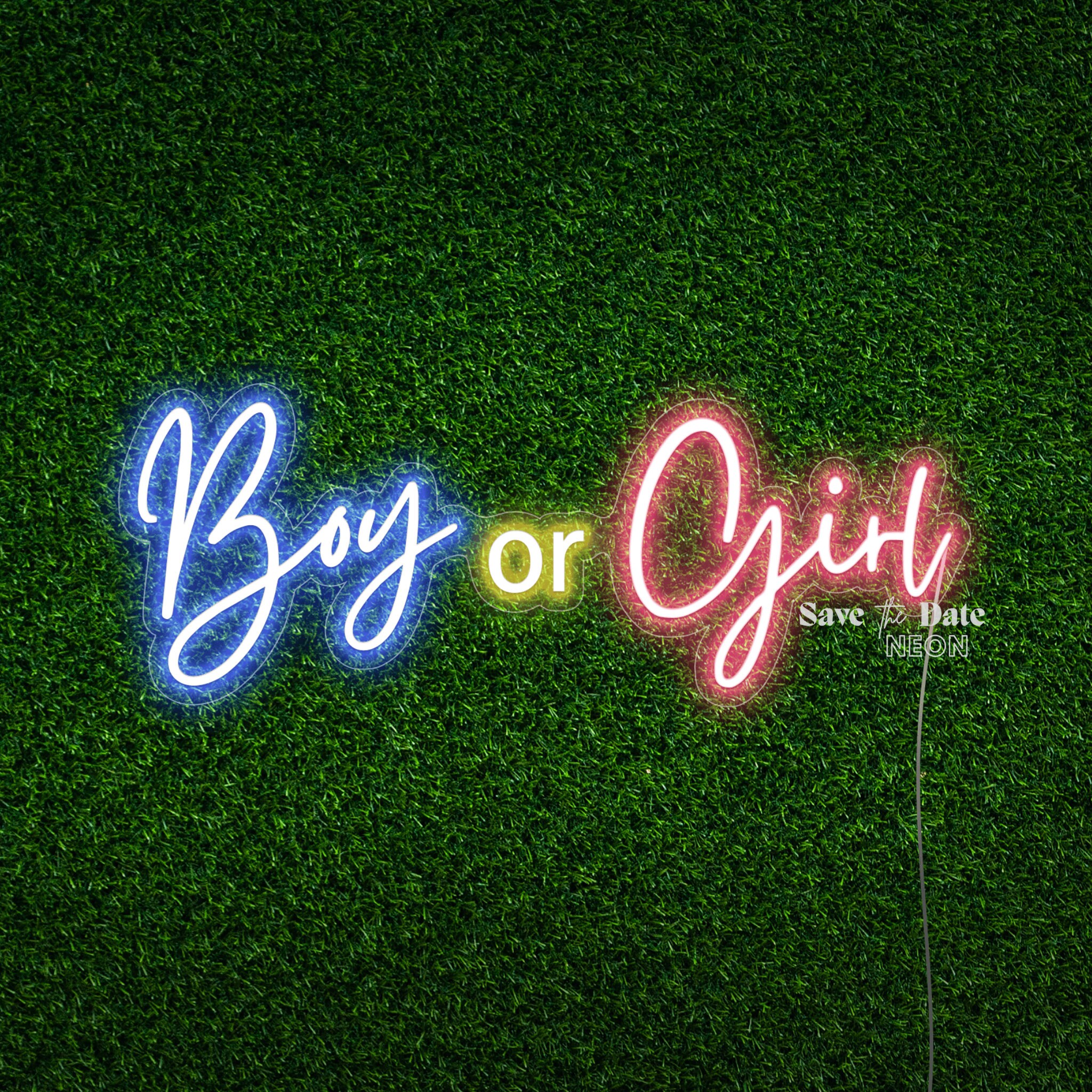 Boy or Girl Neon Sign, LED Neon Light, Wall Hanging Decor, Gender ...