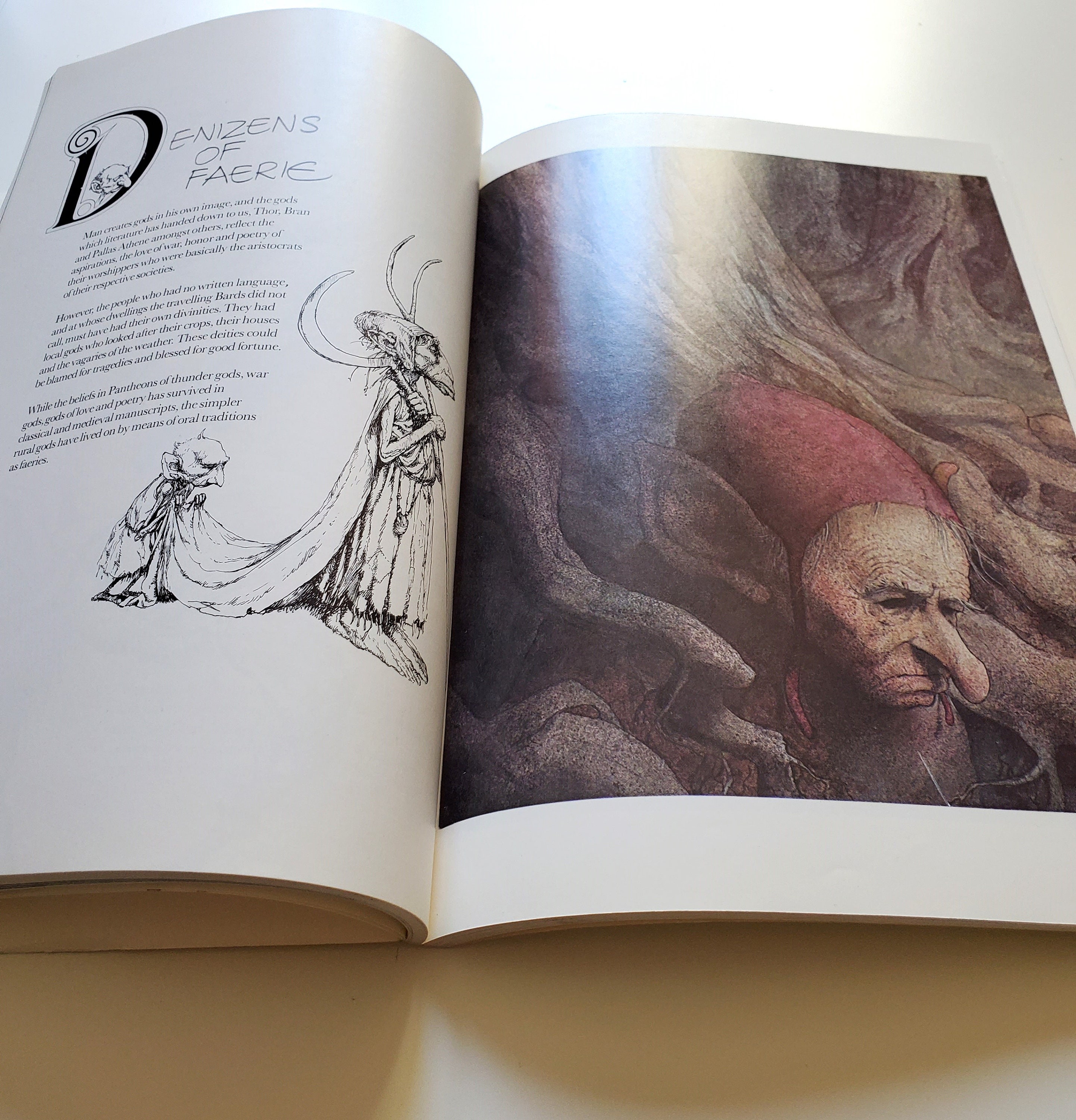 Faeries by Alan Lee and Brian Froud From 1978 - Etsy Canada