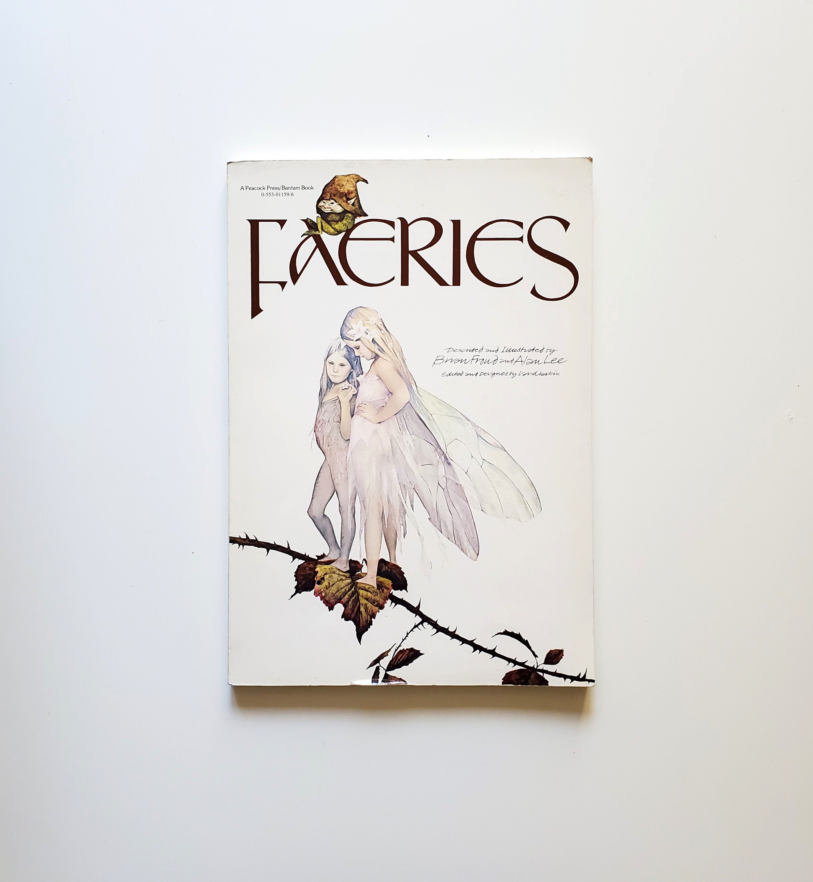 Faeries by Alan Lee and Brian Froud From 1978 - Etsy Canada