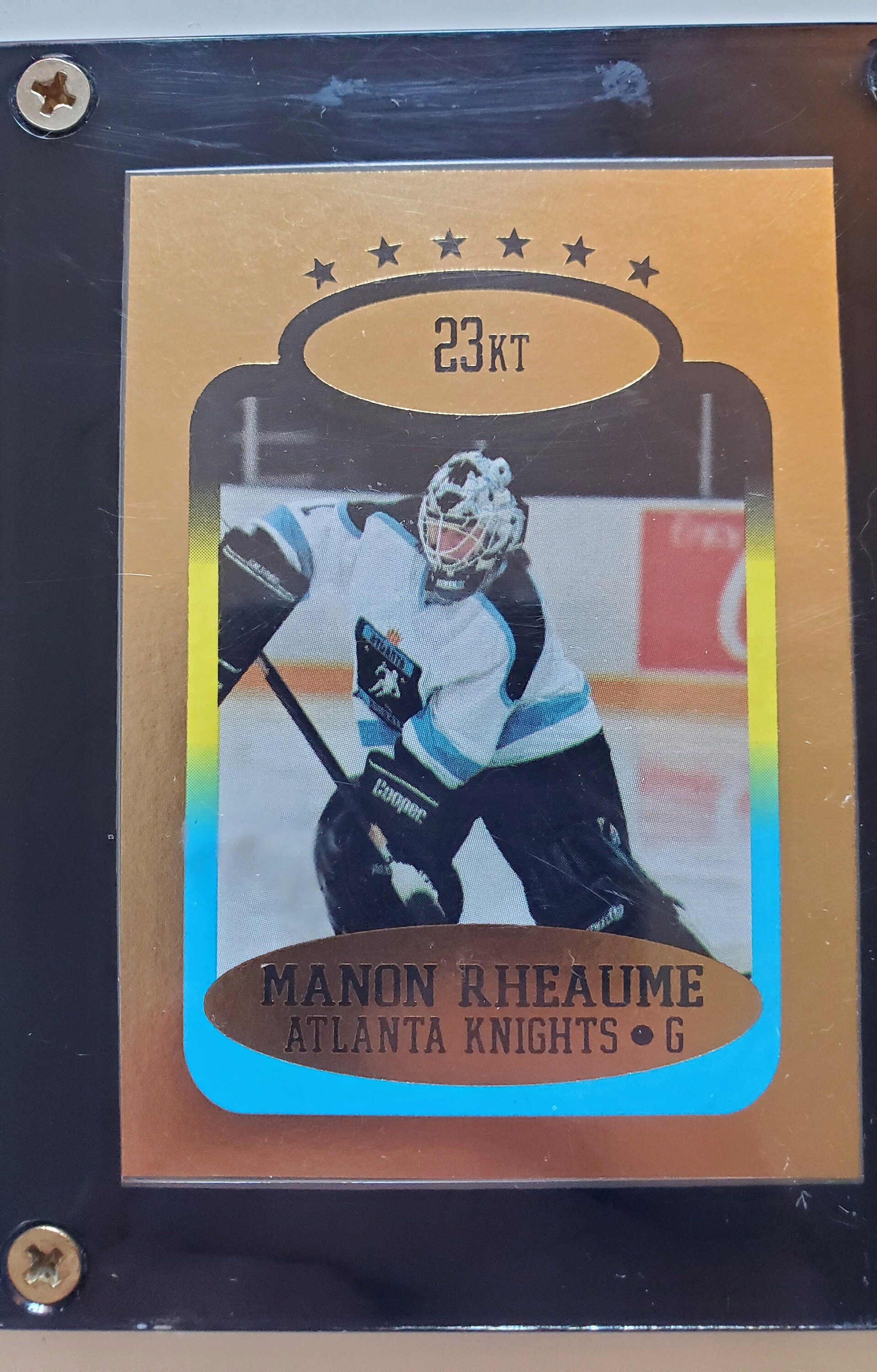 Manon Rheaume 1993 Genuine 23k Gold Set of 3 Collector Cards - Etsy