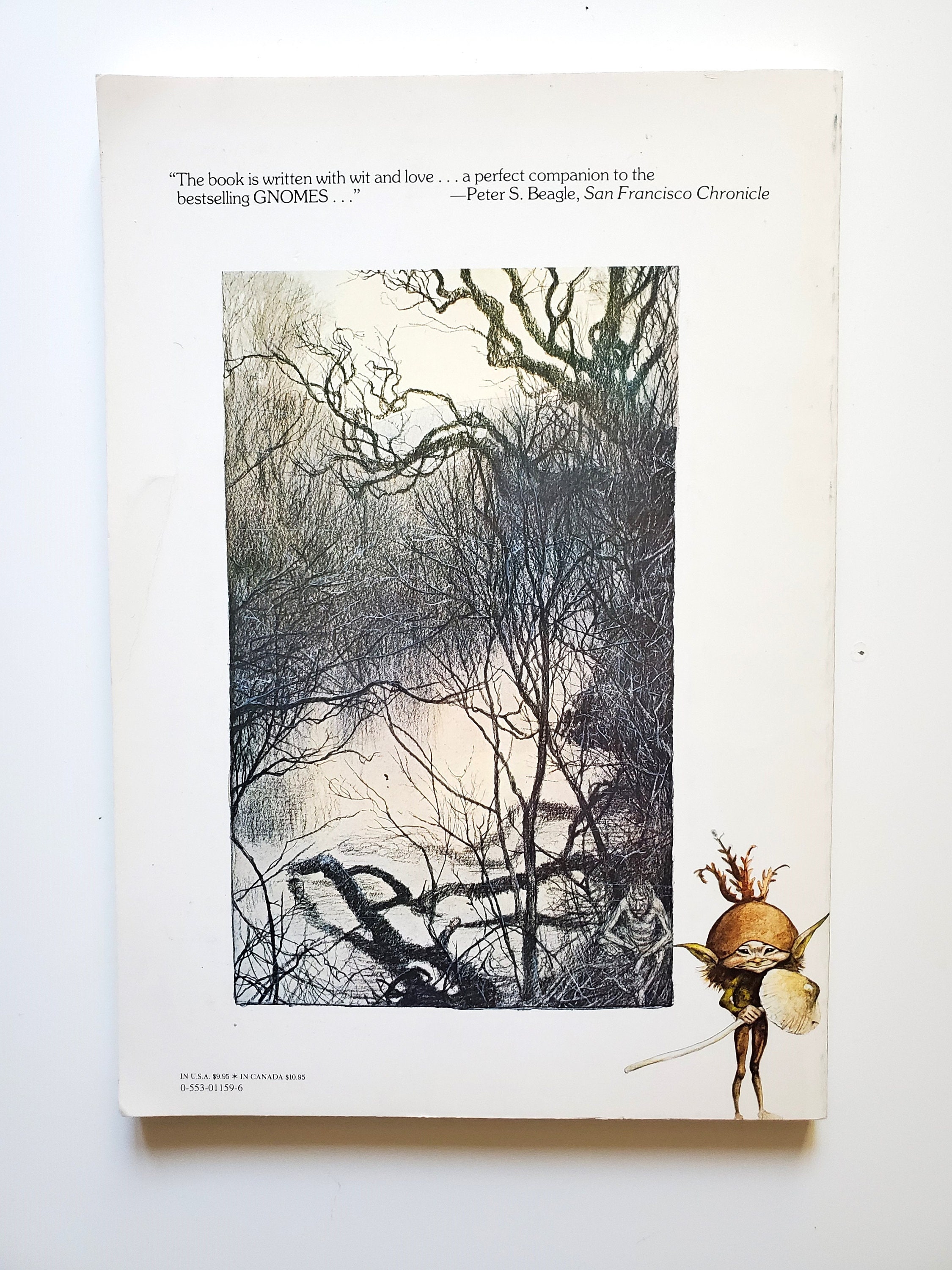 Faeries by Alan Lee and Brian Froud From 1978 - Etsy Canada