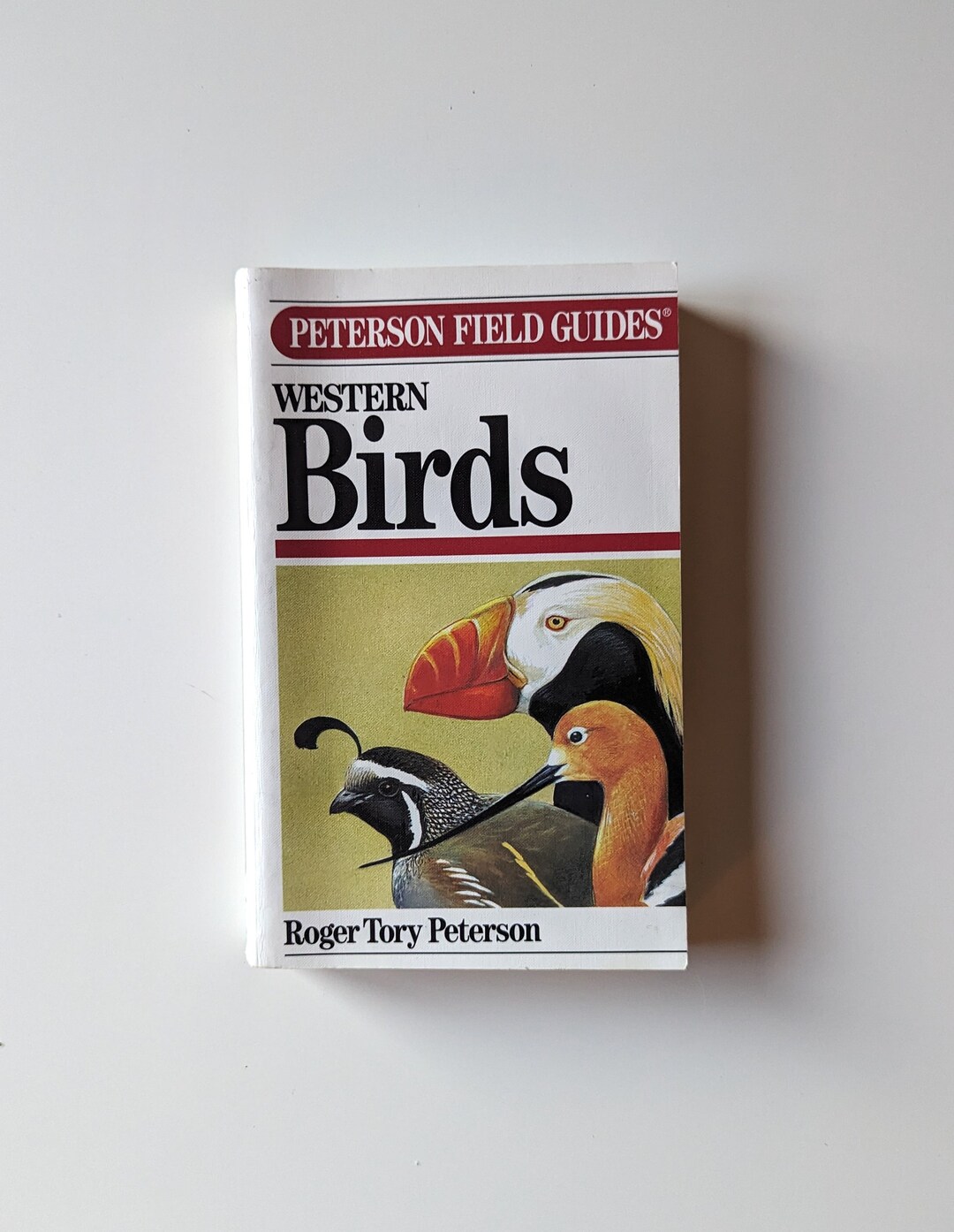 Vintage Field Guide to Western Birds / Vintage Peterson Field Guides ...