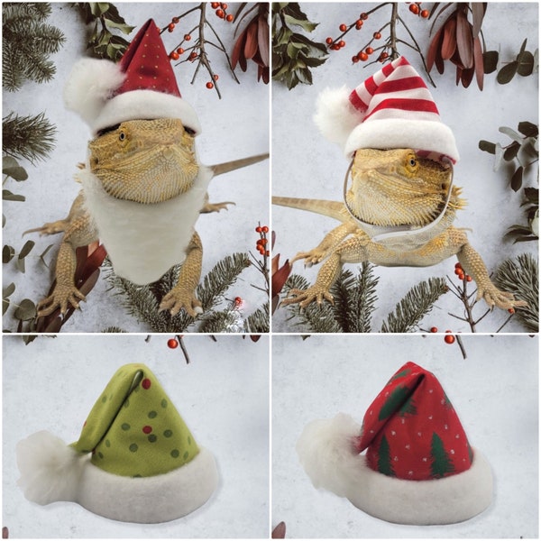 Bearded Dragon - Etsy