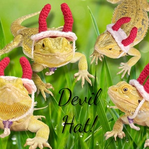 Crocket Hats for Bearded Dragons! Birthday, Devil, Sunflower, Top Hat ...