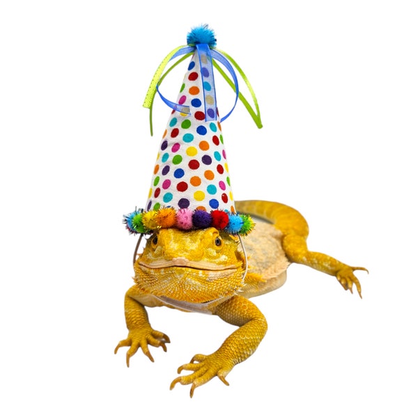 Bearded Dragon Hat - Etsy