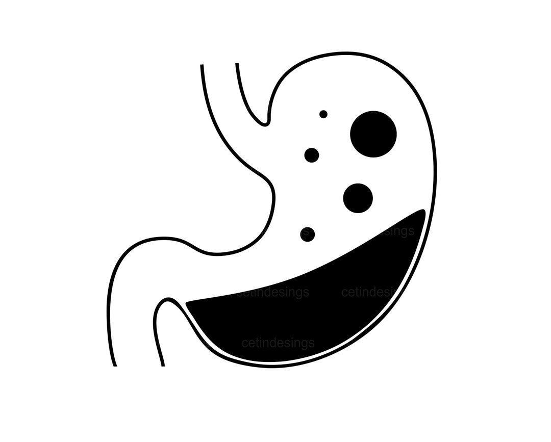 Stomach Svg Stomach Png Stomach Cricut File Stomach Cut File - Etsy