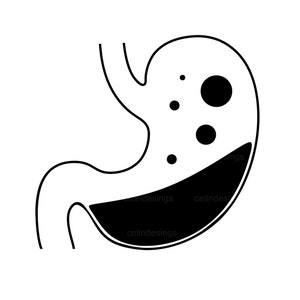 Stomach Svg Stomach Png Stomach Cricut File Stomach Cut File - Etsy