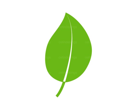 Leaf Icon Vector