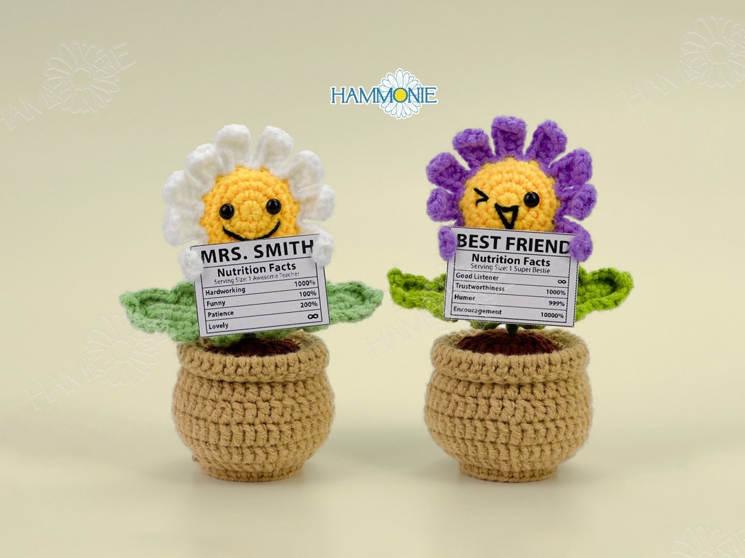 Crochet Daisy Plant Pot: Handmade Emotional Support Gift - Etsy