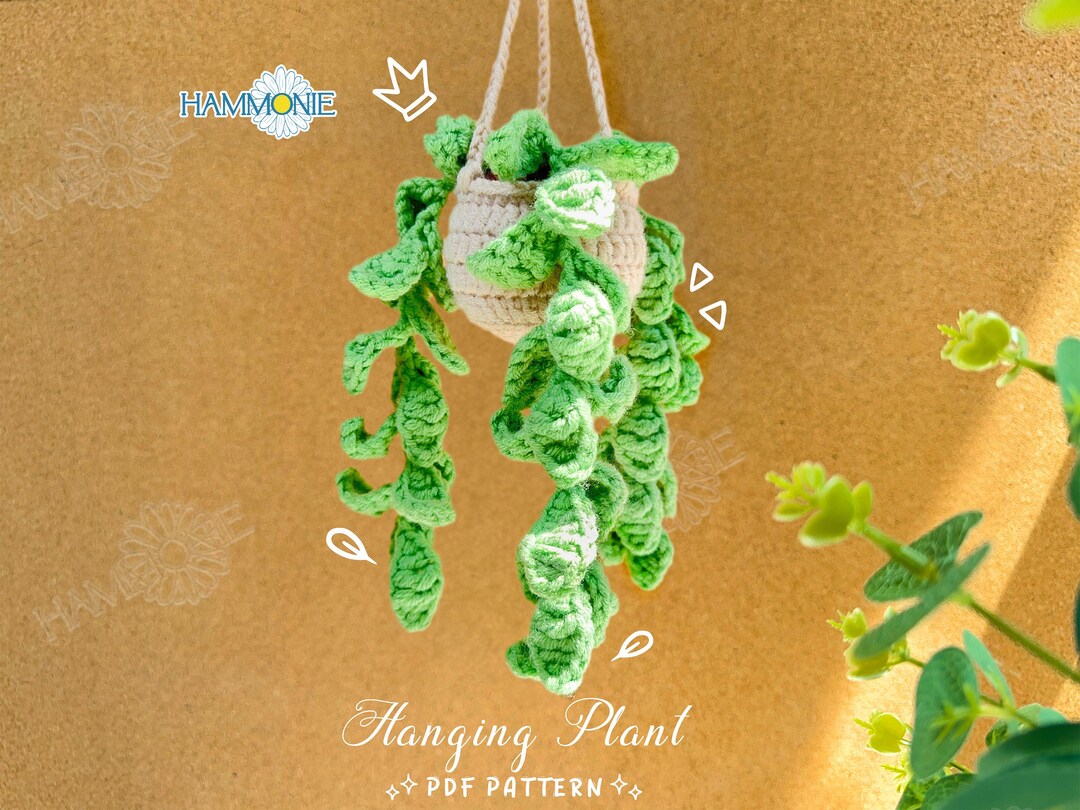 CROCHET PATTERN Plant Hanging, Mini Succulent Plant Crochet Pattern Car ...