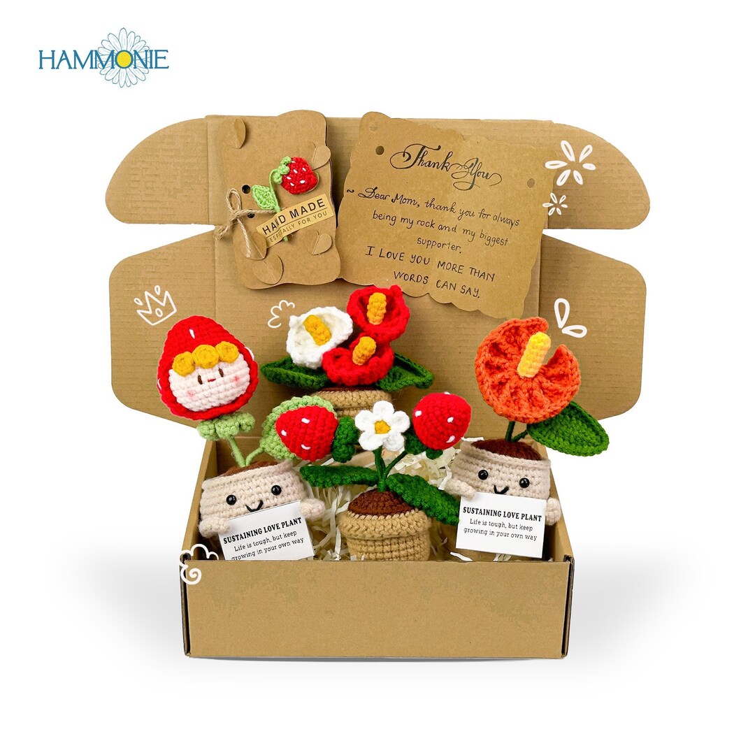 Personalized Crochet Plant Gift Box: Strawberry & Anthurium Set - Etsy