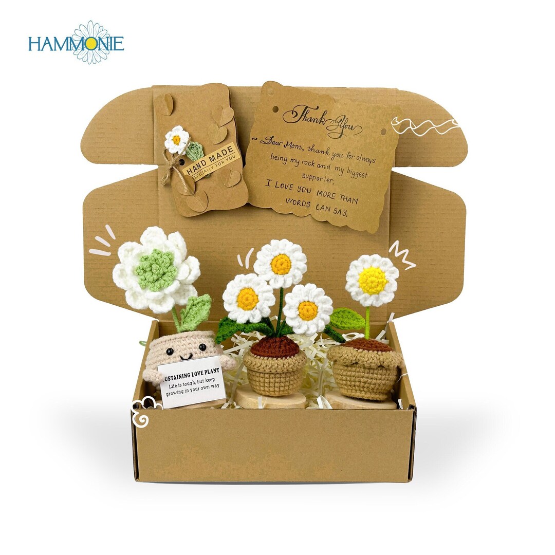 Handmade Crochet Daisy Plant Gift Box: Teacher Appreciation Gift - Etsy