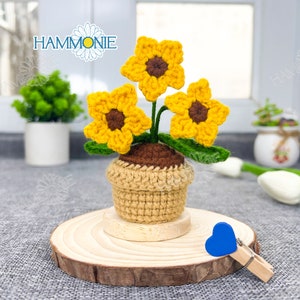 Crochet Sunflower Gift Box: Handmade Flower Pot Set - Etsy