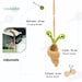 Crochet String of Pearls Plant Car Mirror Hanging: Essential Oil ...