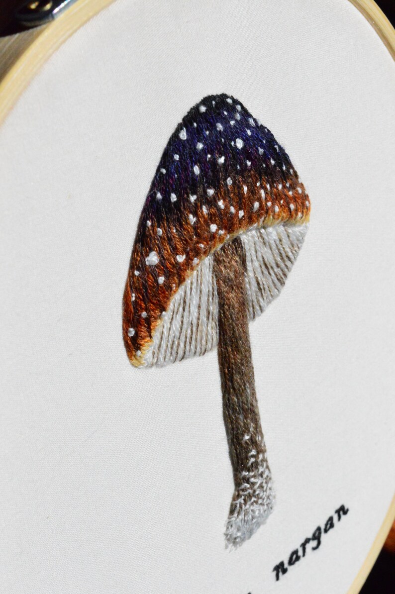 Mycena Nargan 3D Stumpwork Fungi Embroidery Pattern and How-to Guide - Etsy