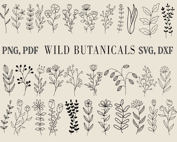 Hand Drawn Wildflowers Svg Bundle Floral Wild Stem Flower - Etsy