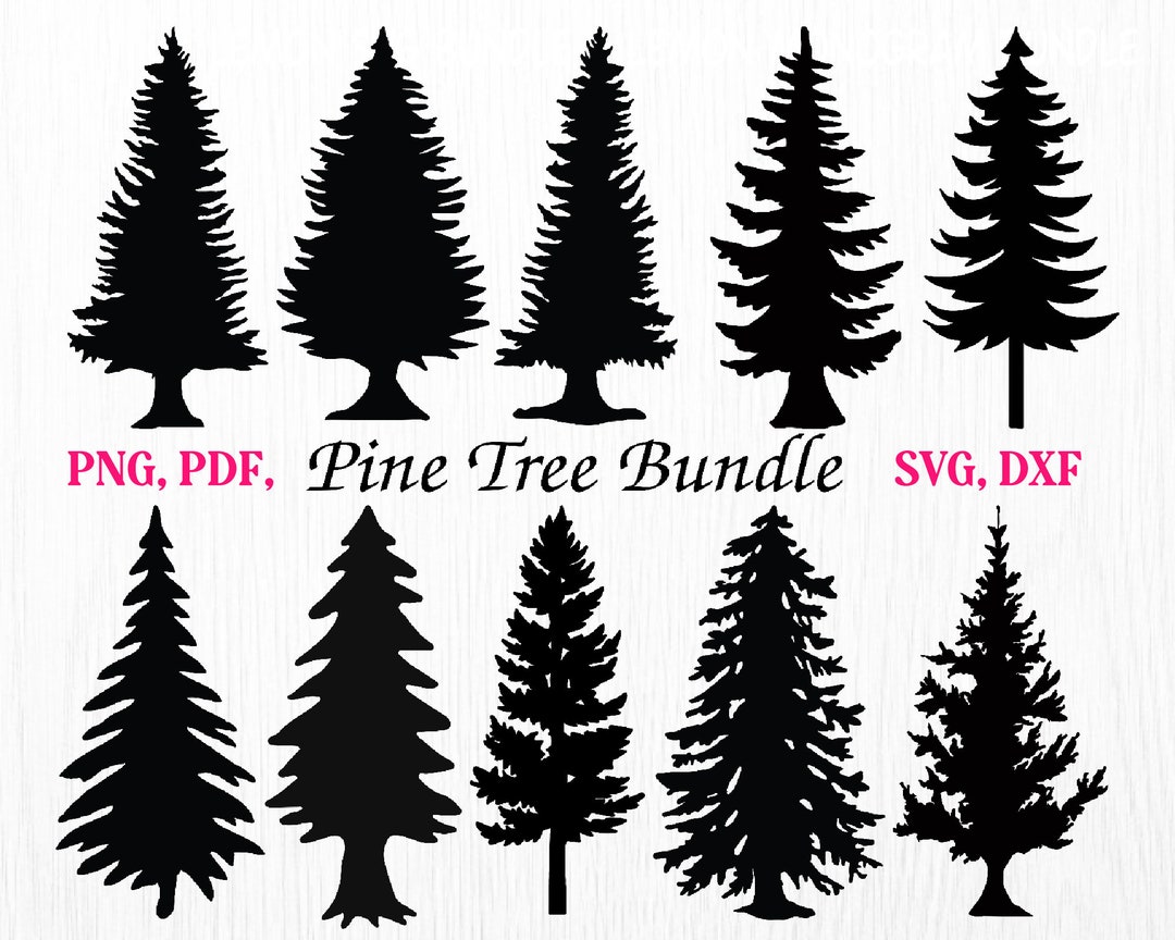 Pine Tree Svg Bundle, Pine Tree Svg, Tree Bundle, Pine Tree Silhouette, Christmas Tree, Spruce ...