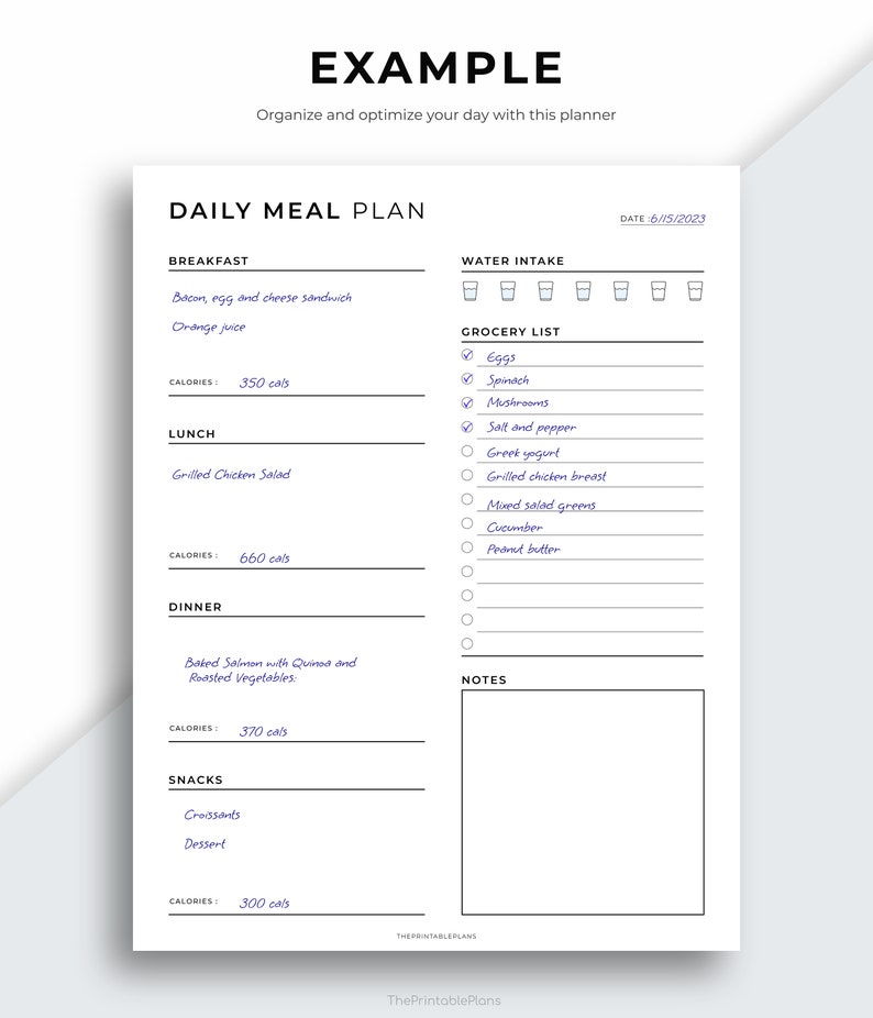 Printable Daily Meal Planner With Two Variants, Food Diary, Diet ...