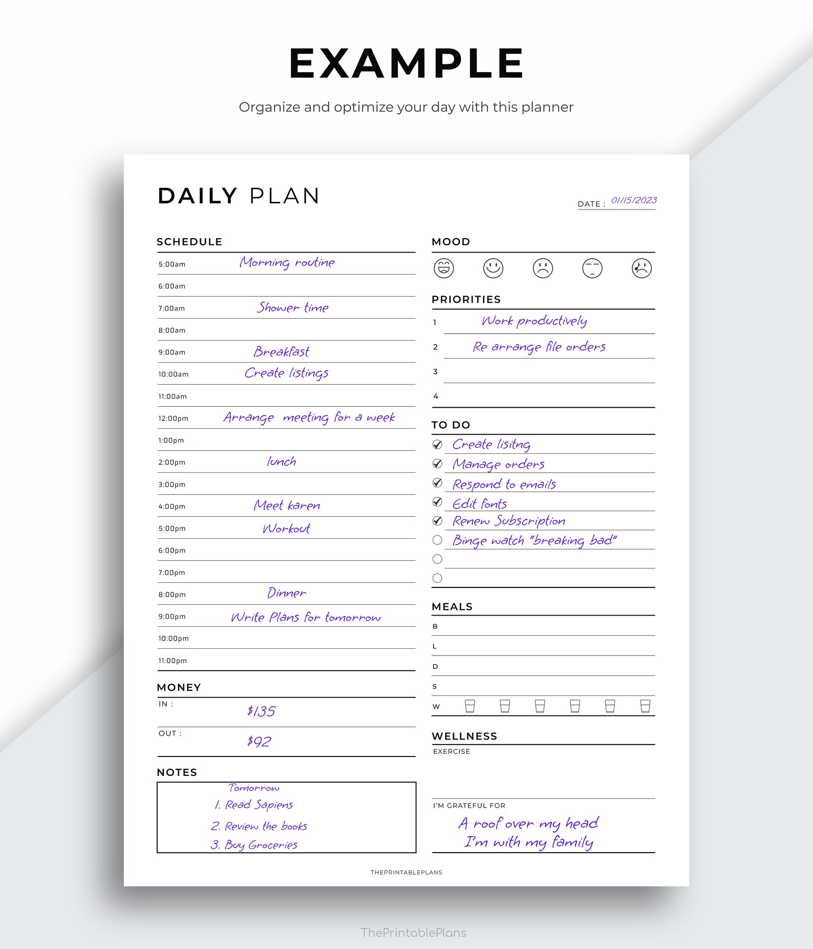 Daily Planner Printable Daily Agenda Productivity Planner - Etsy