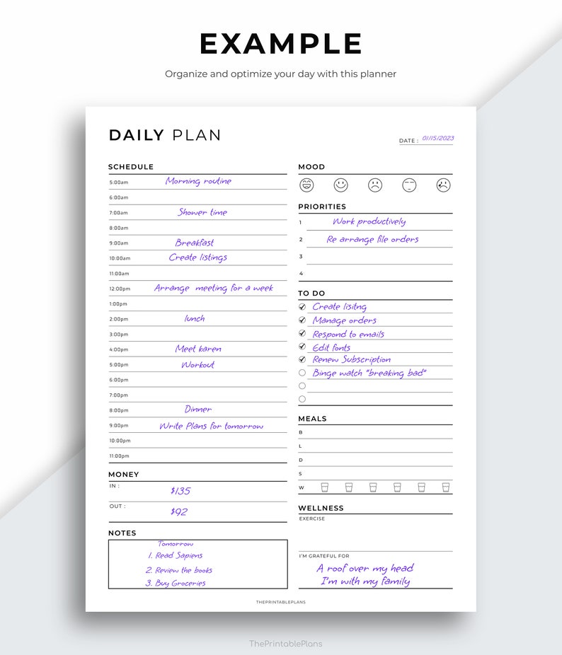 Daily Planner Printable Daily Agenda Productivity Planner - Etsy