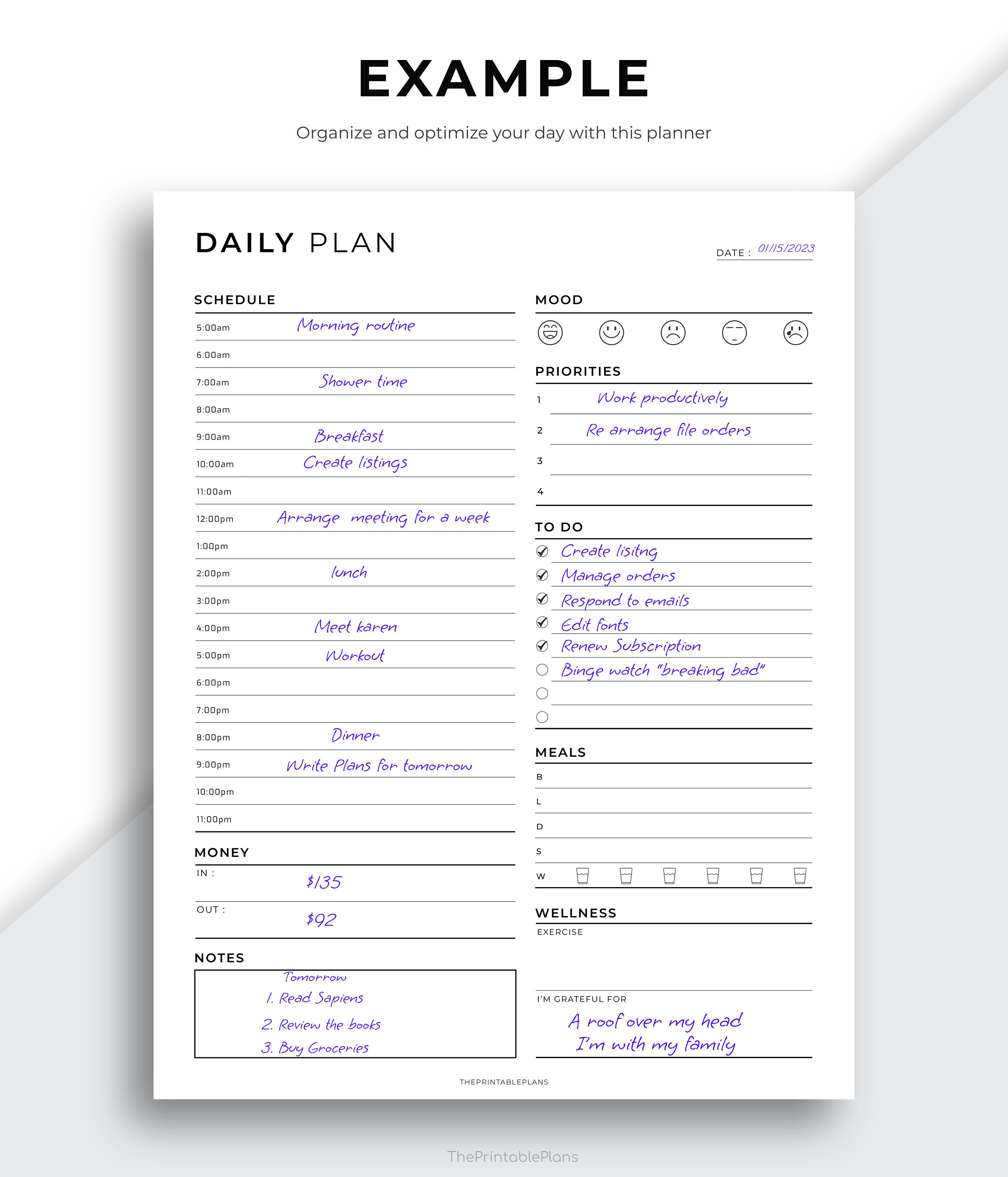 Daily Planner Printable Daily Agenda Productivity Planner - Etsy