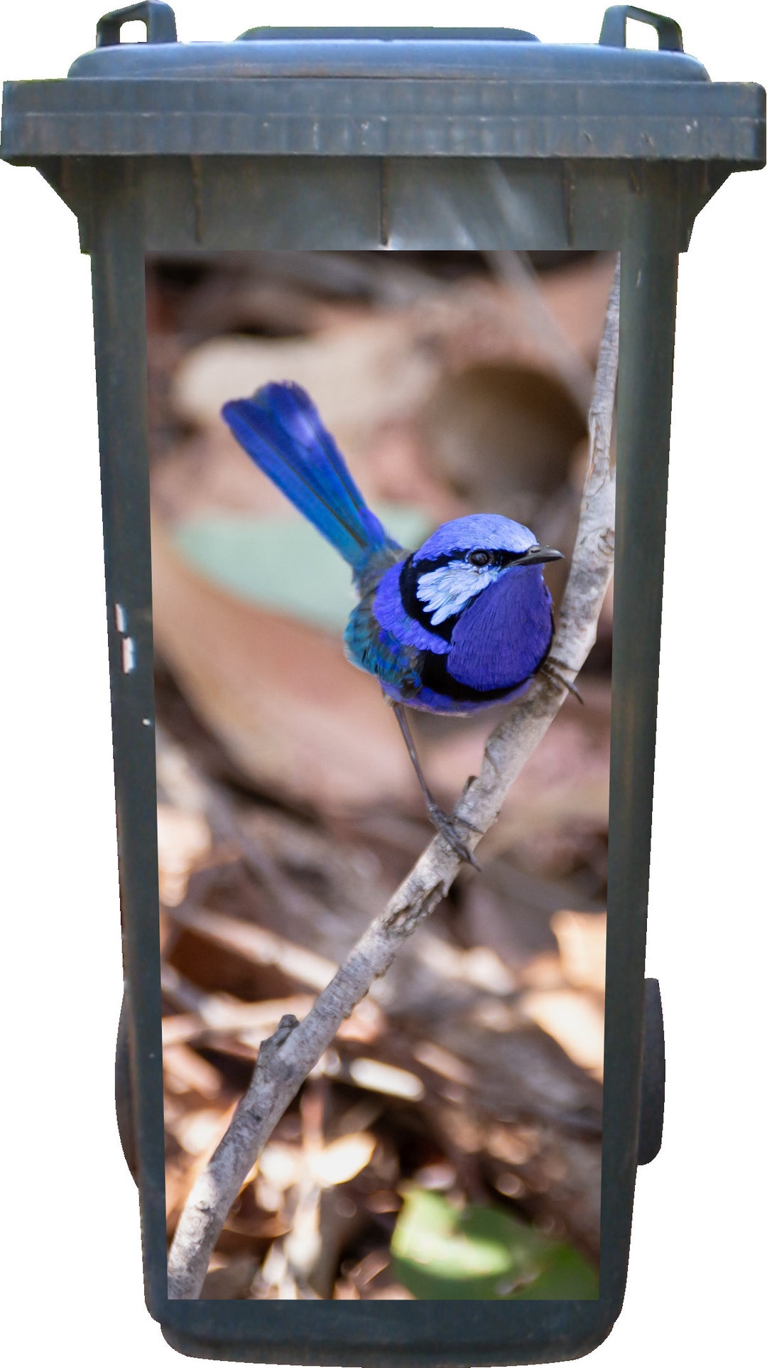 Blue Wren Wheelie Bin Sticker - Etsy