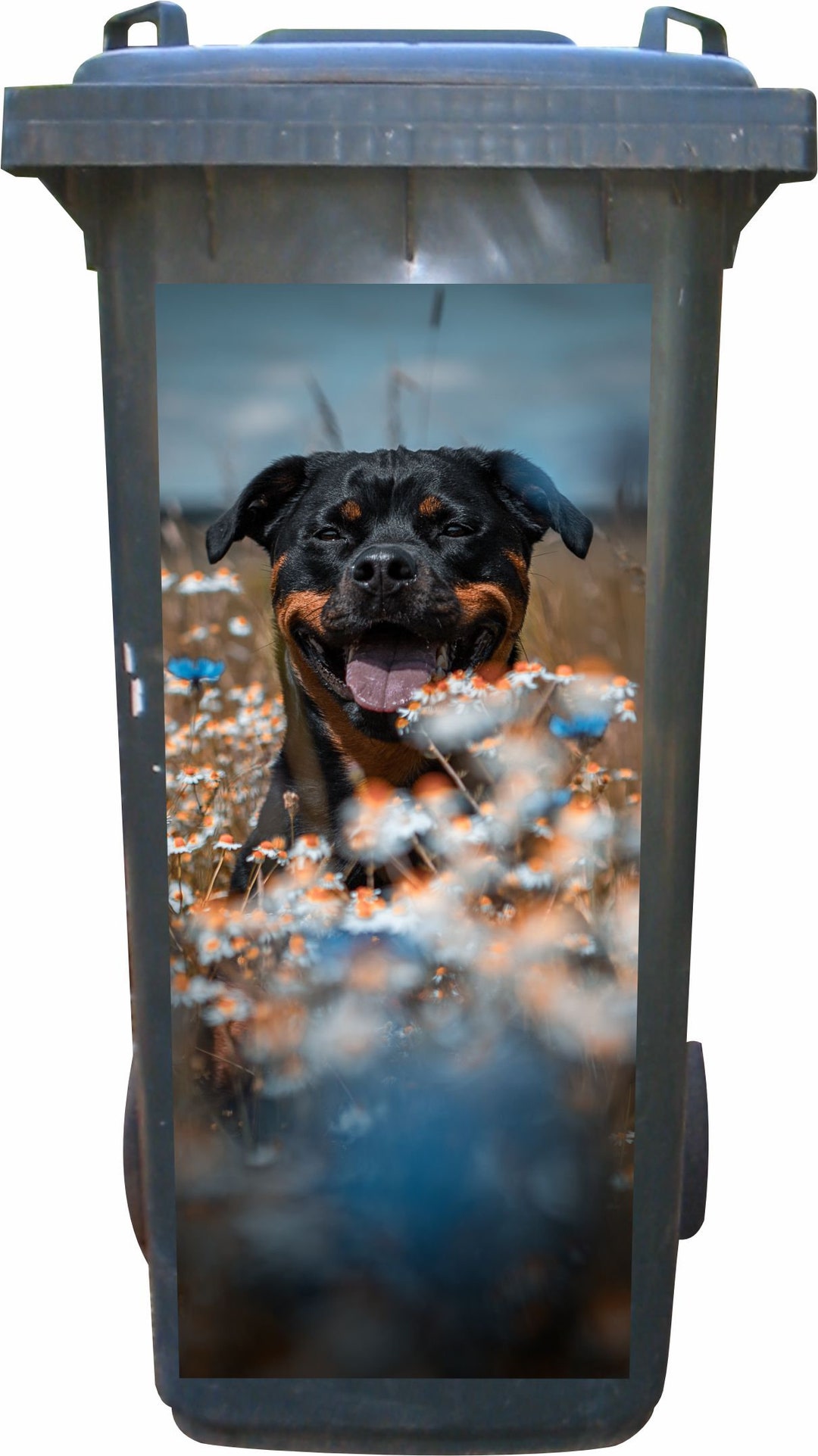 Rottweiler in Daisies Wheelie Bin Sticker - Etsy
