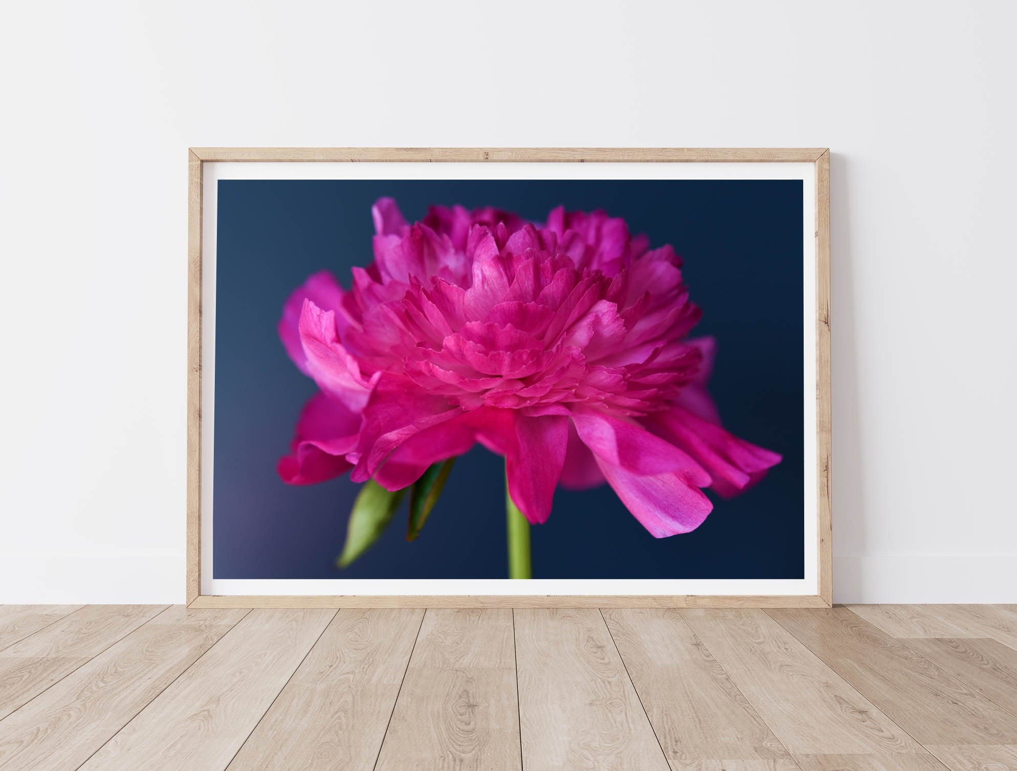 Pink Peony Print, Botanical Print, Flower Print, Peony Wall Art ...
