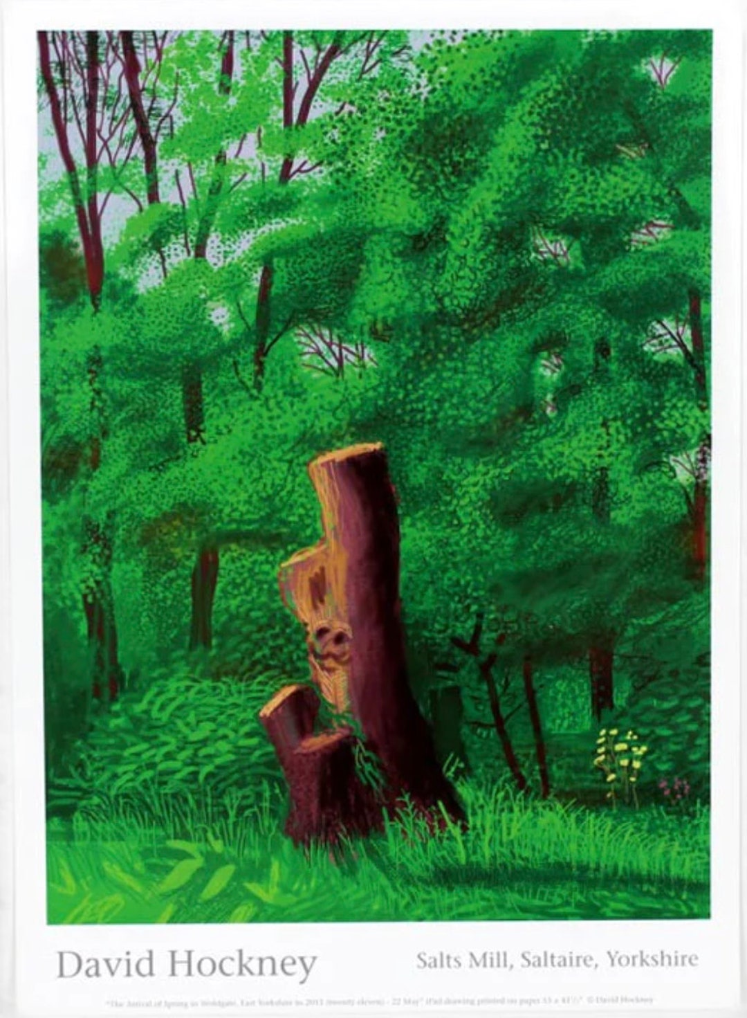 Original David Hockney Exhibition Poster - 22nd of May 2011 the Arrival ...
