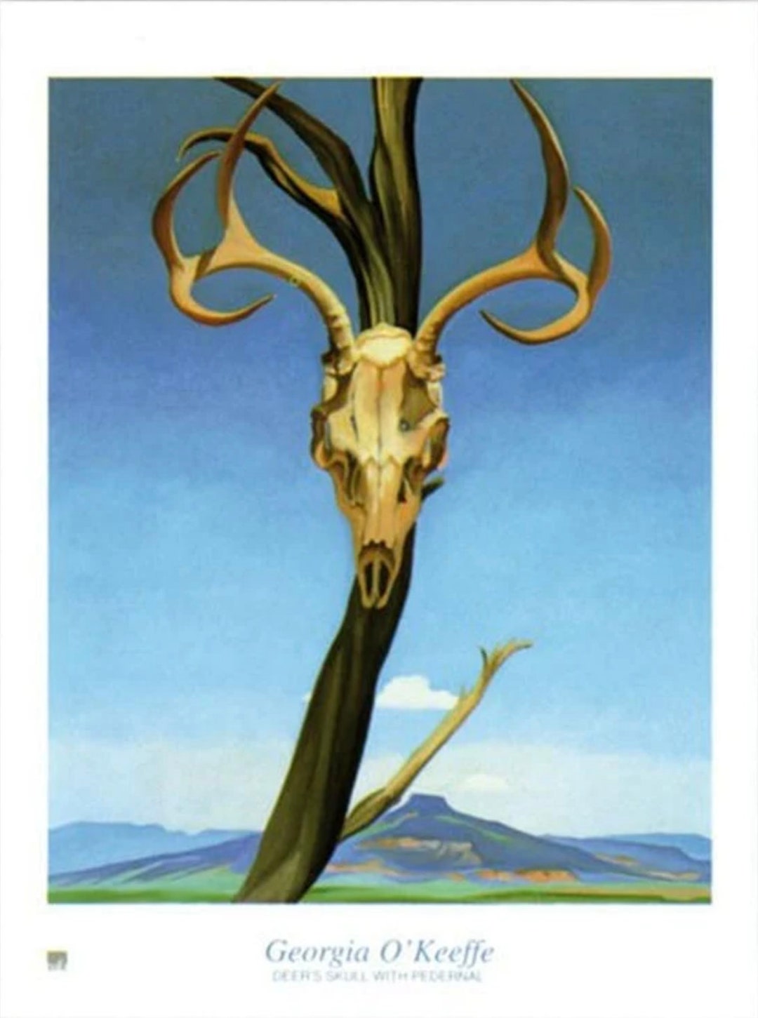 Authentic Georgia O'keeffe Exhibition Poster - Deer Skull With Pedernal ...