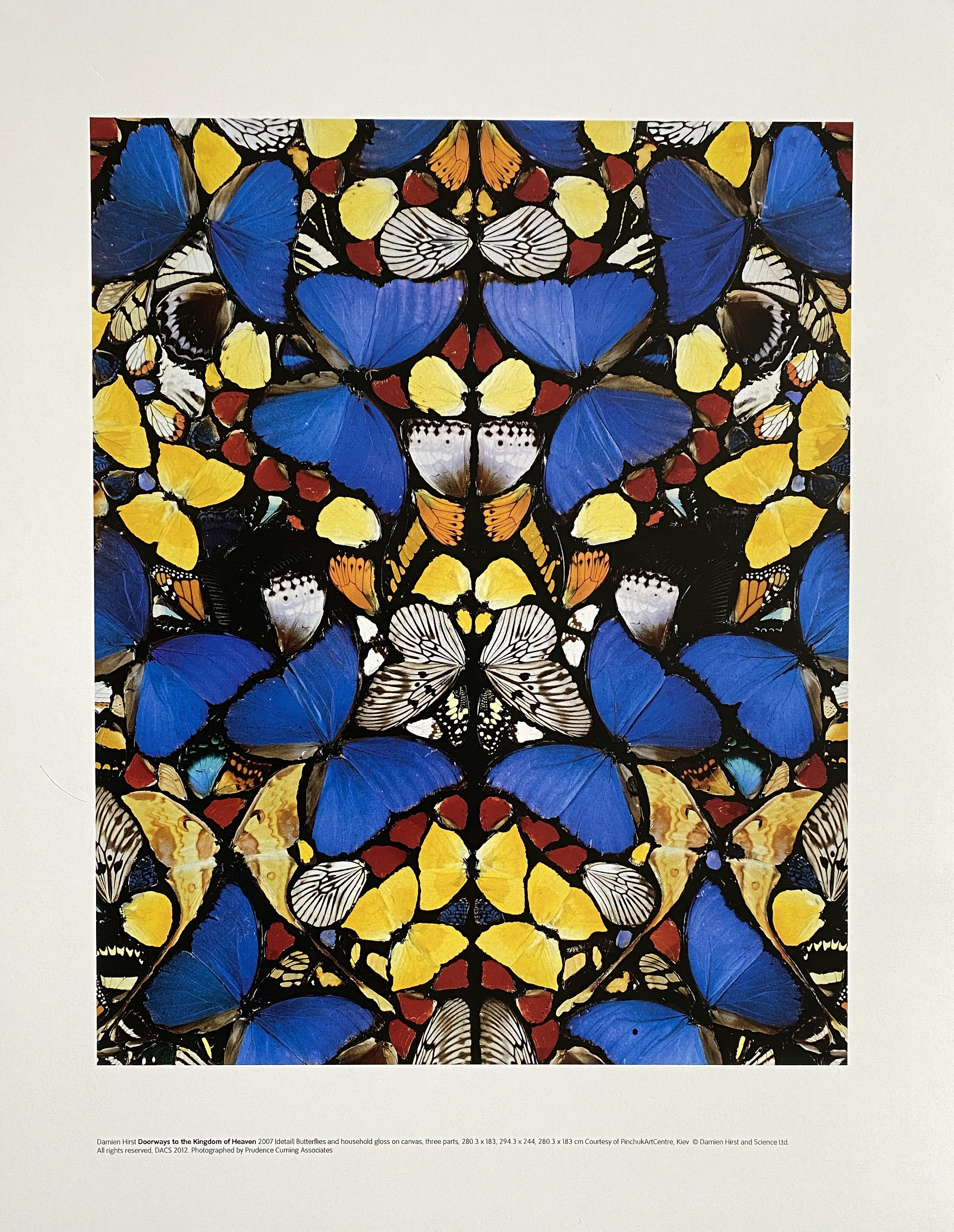 Damien Hirst Butterflies Blue