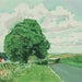 Authentic David Hockney Print / Poster - Midsummer Yorkshire With Tree ...
