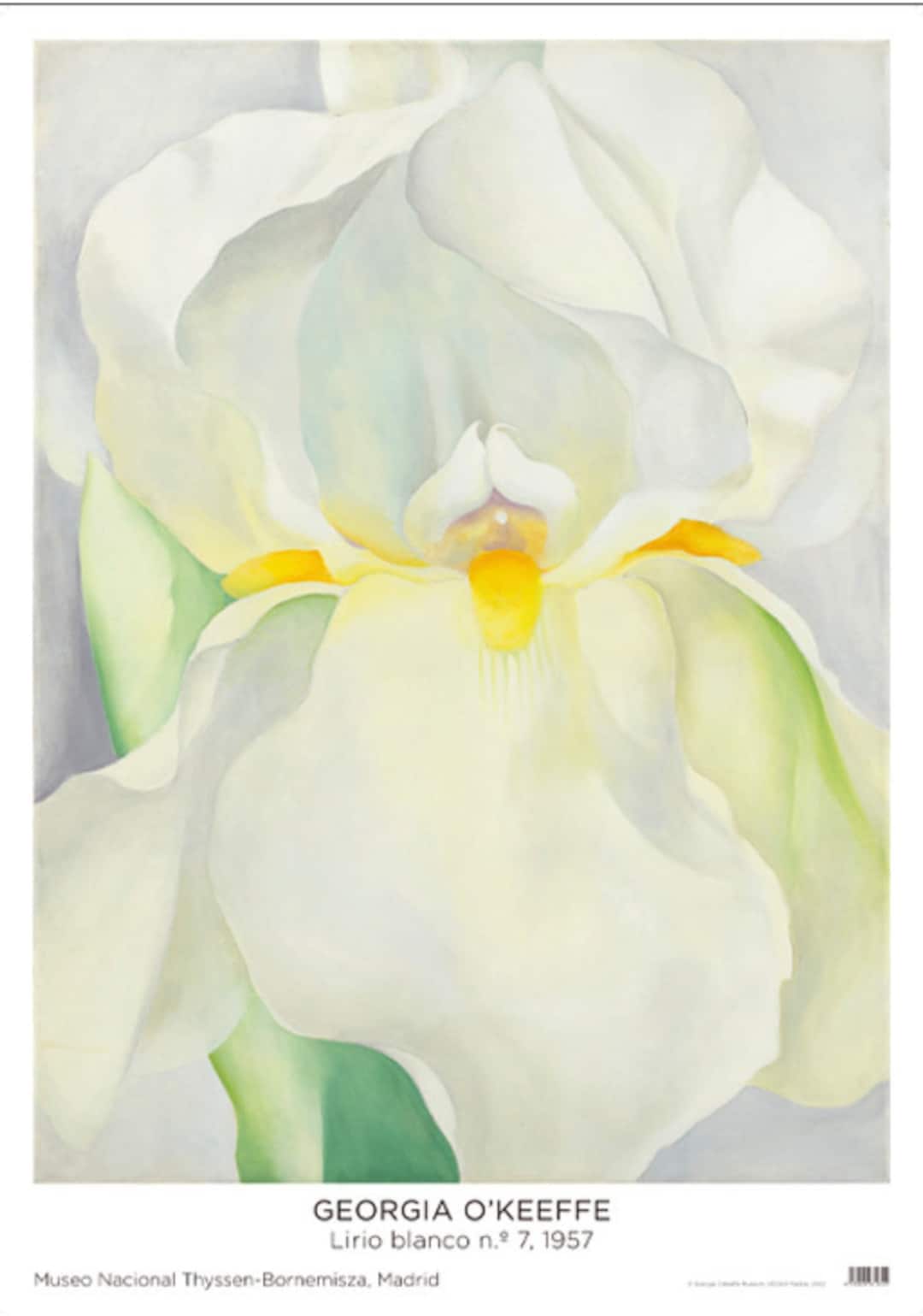 Original Georgia O'keefe Exhibition Poster - White Iris - Authentic ...