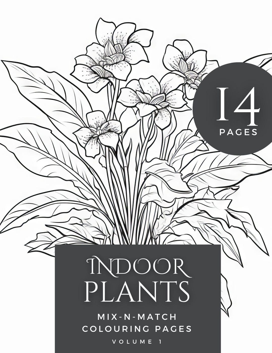 Plant Colouring Pages - Etsy