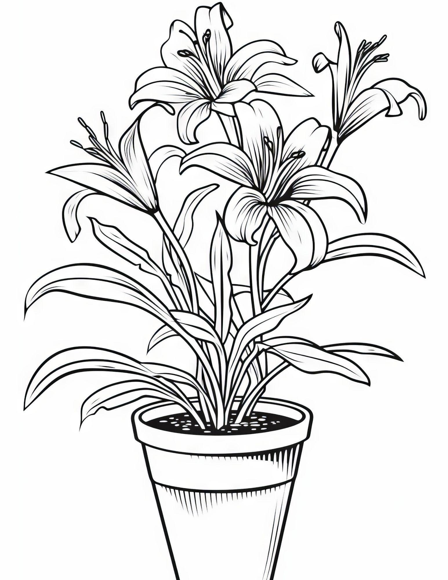 Plant Colouring Pages - Etsy