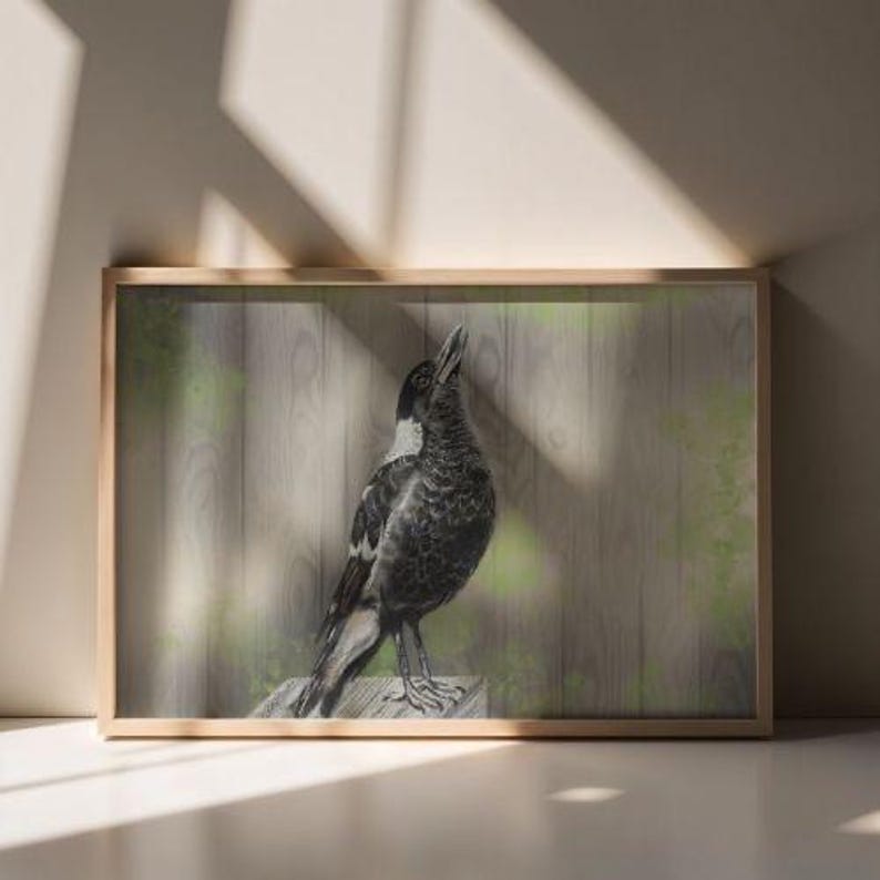 Magpie Song Bird Illustration – an Afternoon Warble Art Print - Etsy