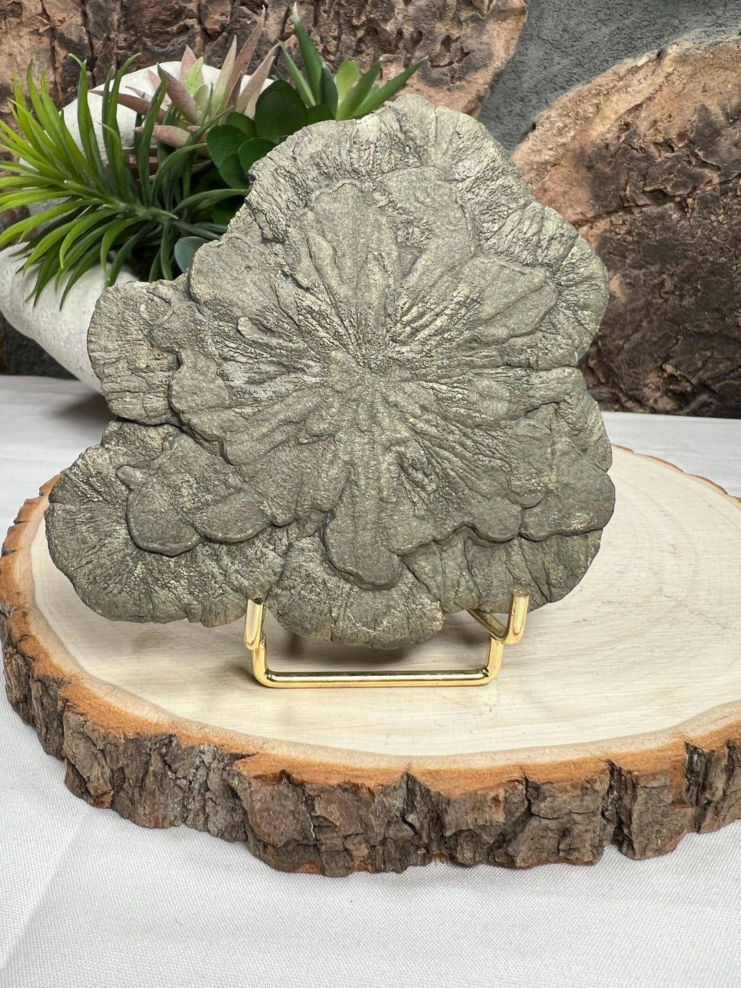 Rare Beautiful Pyrite Sun - Etsy