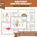 Anatomy and Physiology Flash Cards Printable Pdf, Stickers, Biology ...
